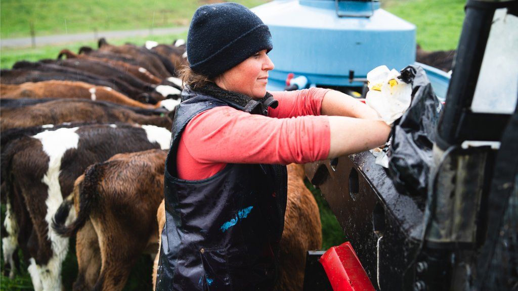 Agricultural college sees 100% rise in women studying farming - BBC News
