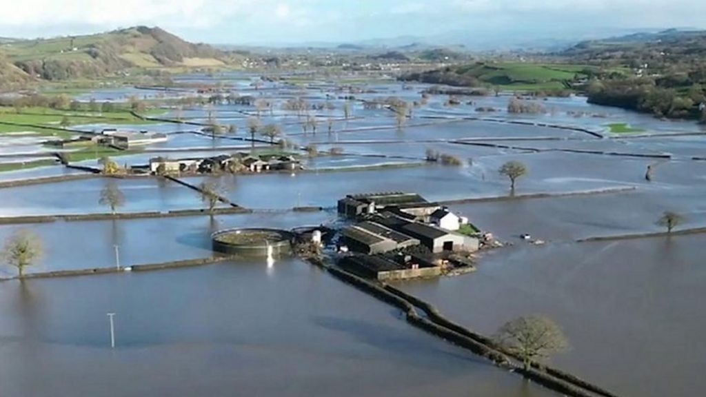 Dyffryn Tywi dan ddŵr yn dilyn glaw trwm - BBC Cymru Fyw