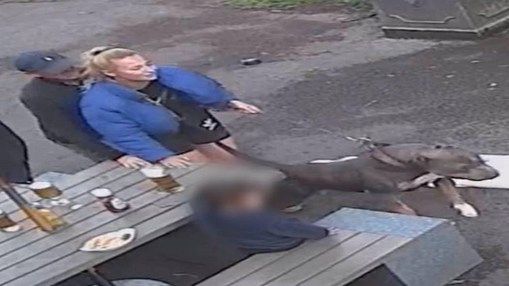 Strelley dog attack victim spends week in hospital - BBC News