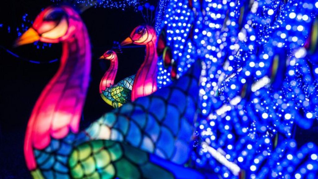 Chinese Lunar New Year: Spectacular light show - BBC Newsround