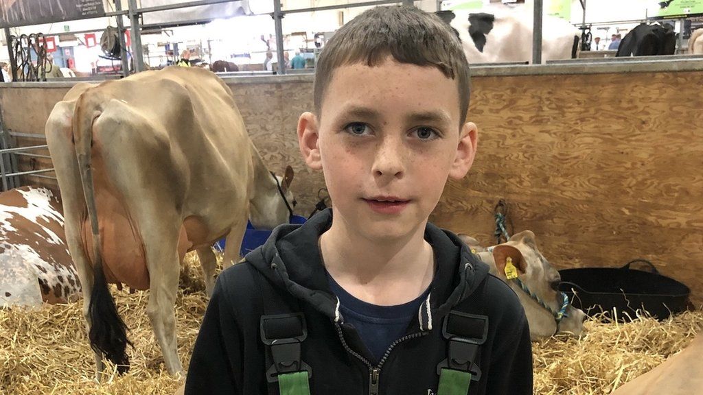 Children 'roll up their sleeves' at Farmwise Devon event - BBC News
