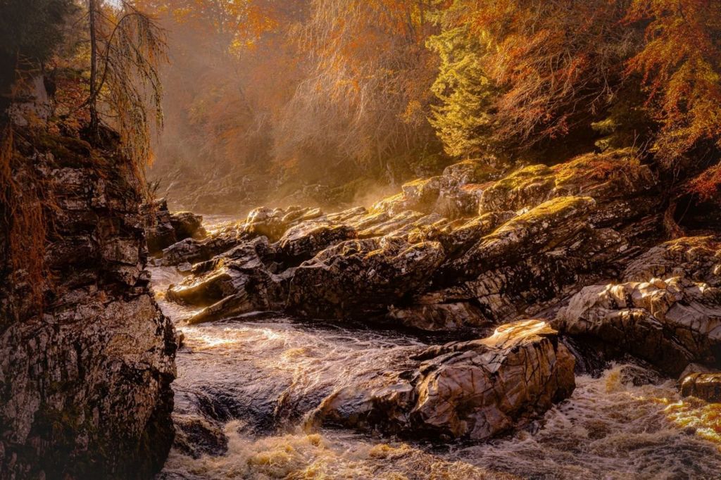 Your pictures of Scotland: 17-24 November - BBC News