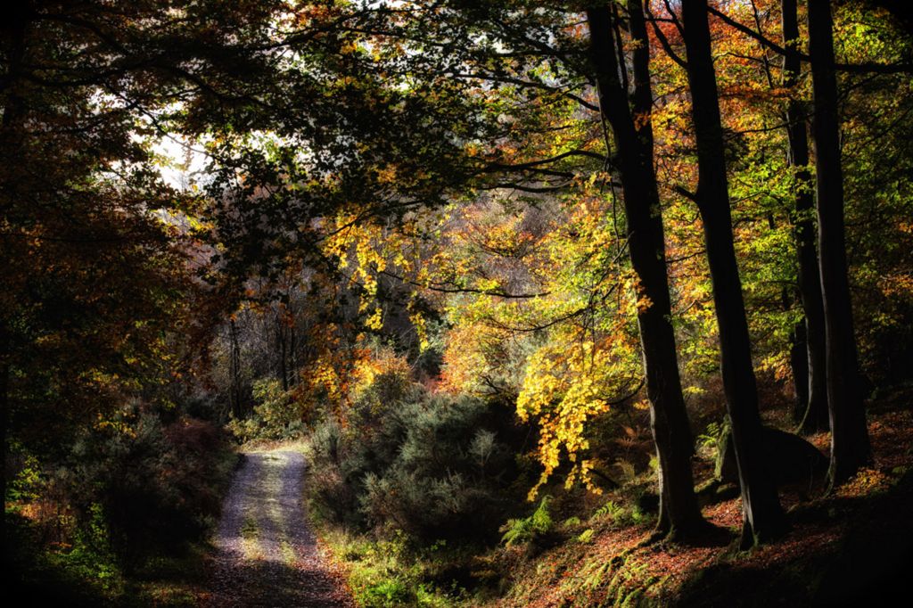 Your pictures of Scotland - BBC News