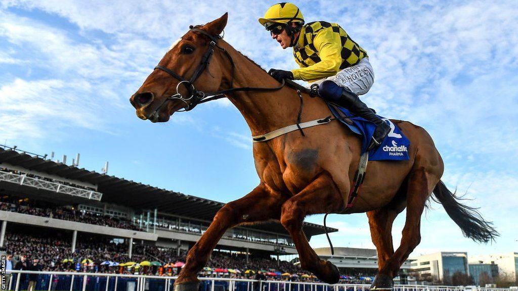 Irish Champion Hurdle: State Man beats Honeysuckle at Leopardstown ...