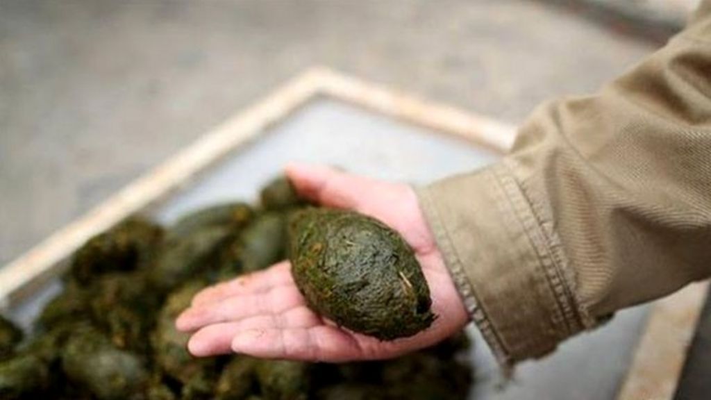 The man turning panda poo into paper - BBC Newsround