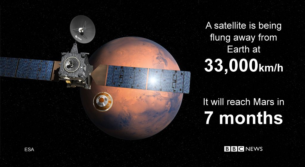 Go Figure: The week in numbers - BBC News