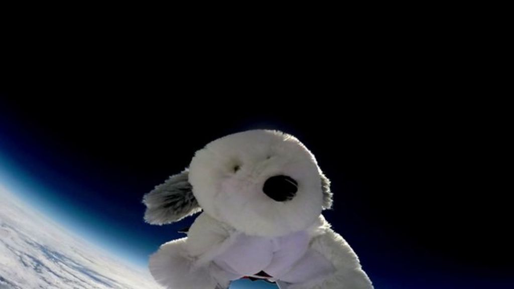 Cuddly toy missing after being launched to edge of space - BBC Newsround