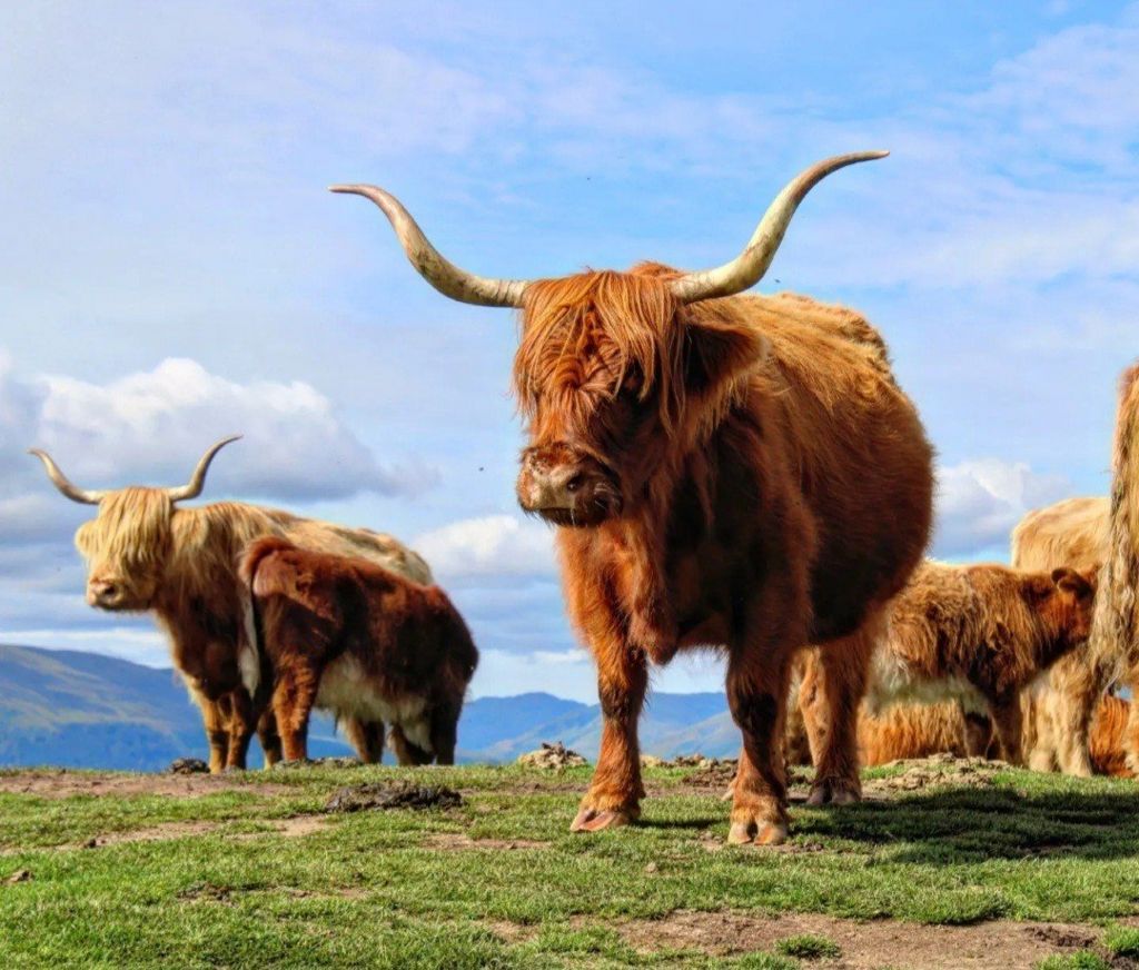 Your pictures of Scotland: 26 August-2 September - BBC News