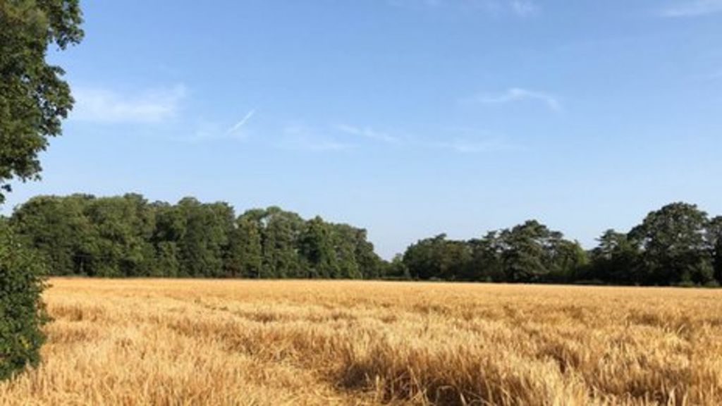 Weather for the week ahead - BBC Weather