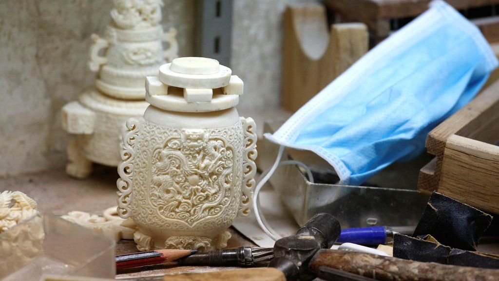 Elephants and the ivory trade: The crisis in Africa - BBC Newsround