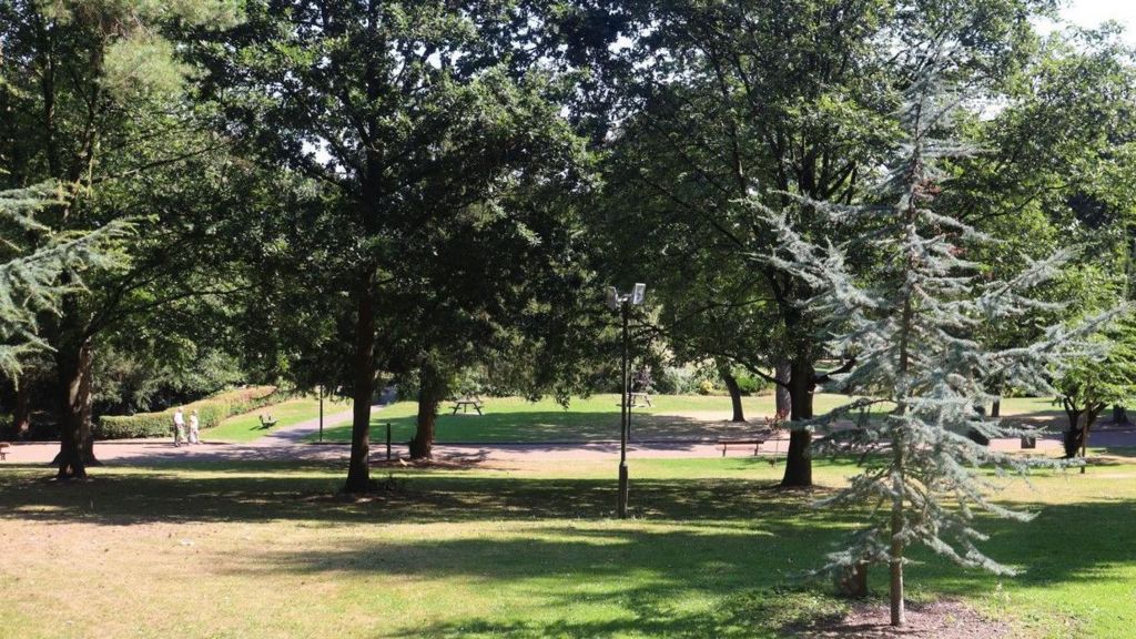 Walsall Arboretum designated ancient tree site in milestone year - BBC News