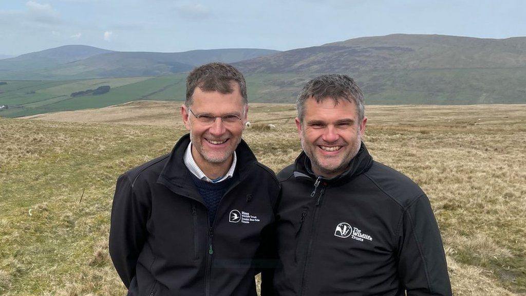 Manx Wildlife Trust search for new woodland rangers begins - BBC News