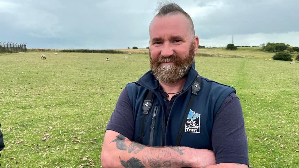 Wild choughs to be reintroduced in Kent after breeding programme - BBC News