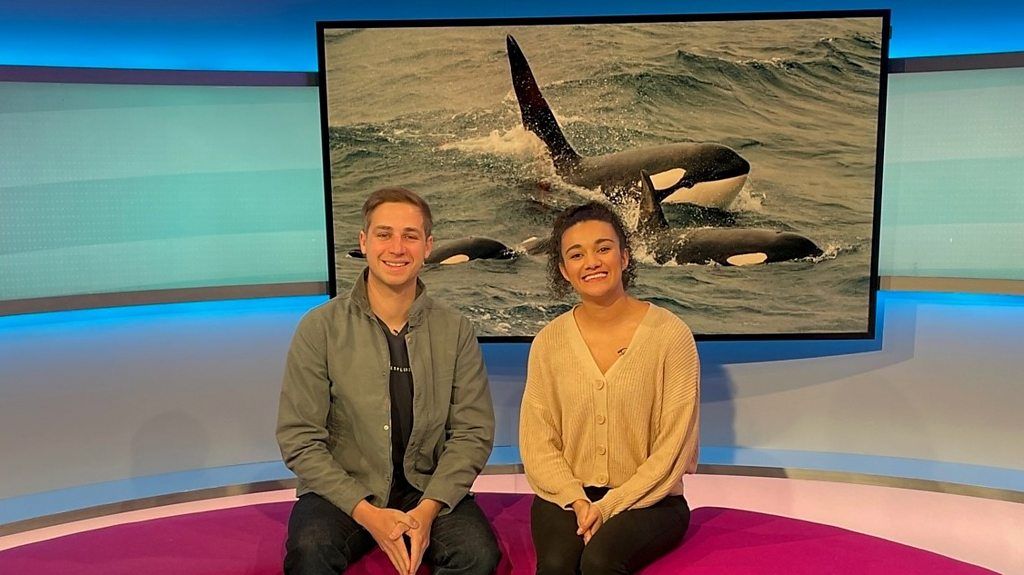 Rockall: Army veteran staying alone on tiny island for 60 days - BBC Newsround