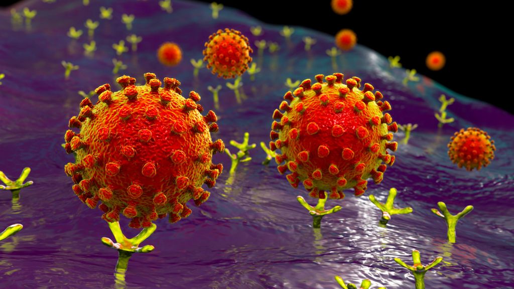 Coronavirus: Virus provides leaps in scientific understanding - BBC News