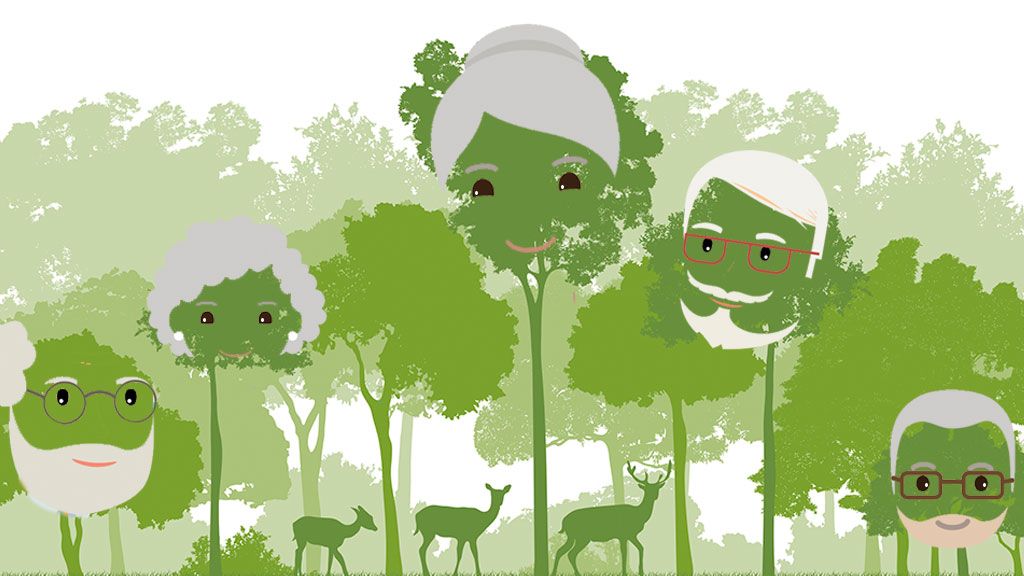 UK Environment: 130,000 trees will be planted to help tackle climate ...