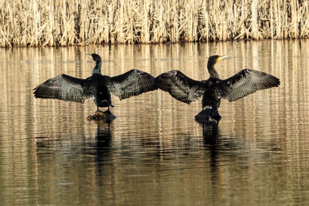 Your pictures of Scotland: Photographs from around the country - BBC News