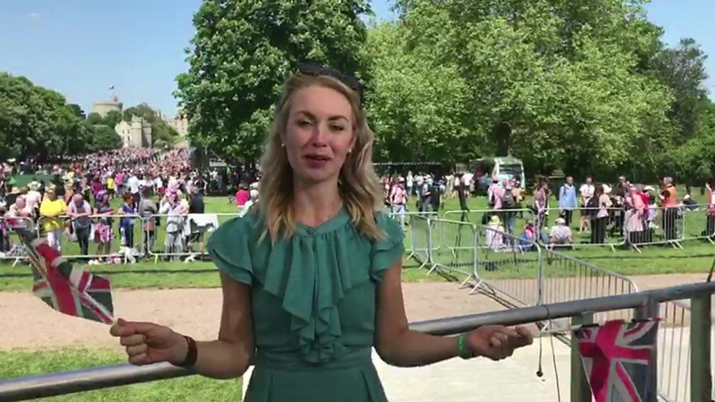Hayley goes for a rest - BBC Newsround