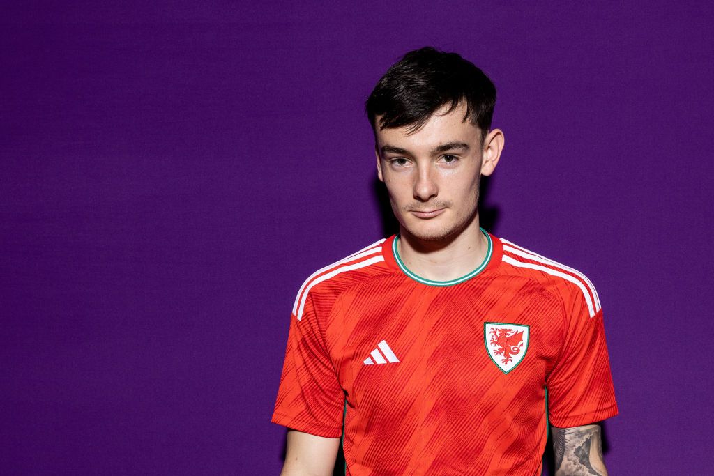 L﻿evitt misses out on World Cup action - BBC Sport