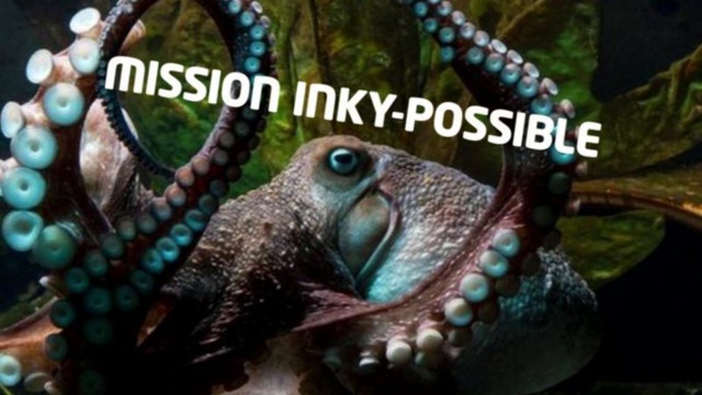 How might Inky the octopus have escaped from his tank to the Pacific ...