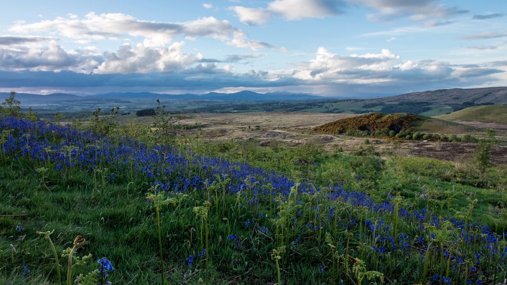 Your pictures of Scotland - 9 to 16 June - BBC News