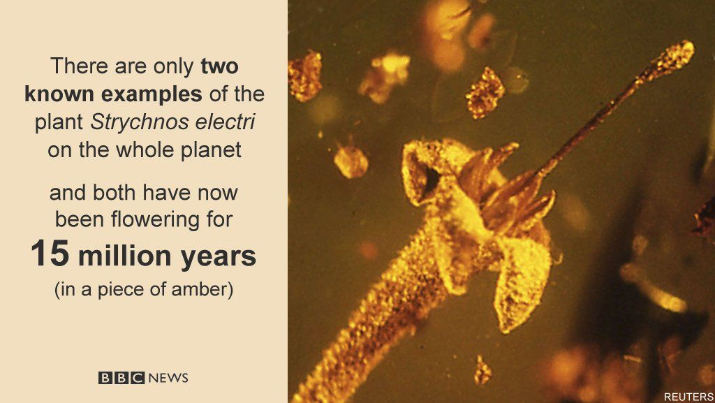 Go Figure: The week in numbers - BBC News