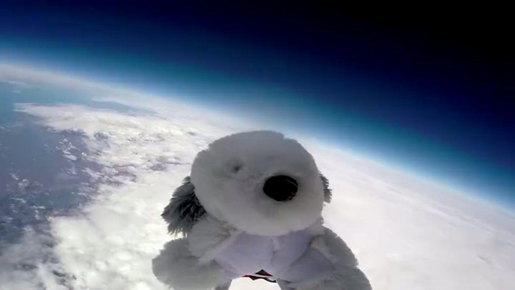 Cuddly toy Sam the dog blasted into stratosphere by schoolchildren ...