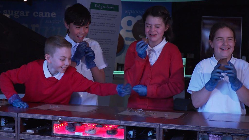 Why do we eat chocolate Easter eggs? - BBC Newsround