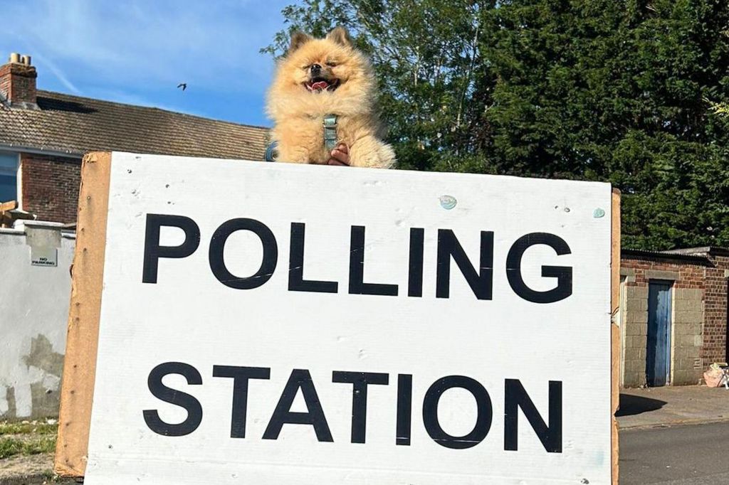General election 2024: Check out these dogs at polling stations - BBC ...