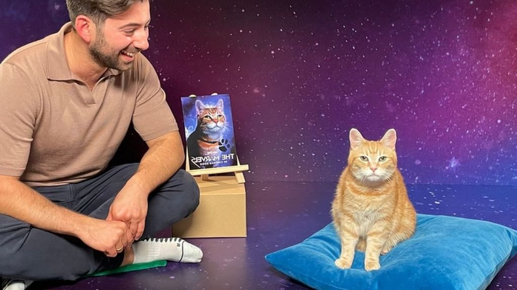 The Marvels: Newsround interviews cat who plays Goose in new film - BBC ...