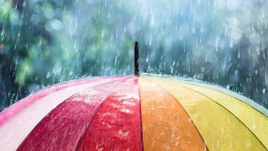 St Swithin's Day - BBC Newsround