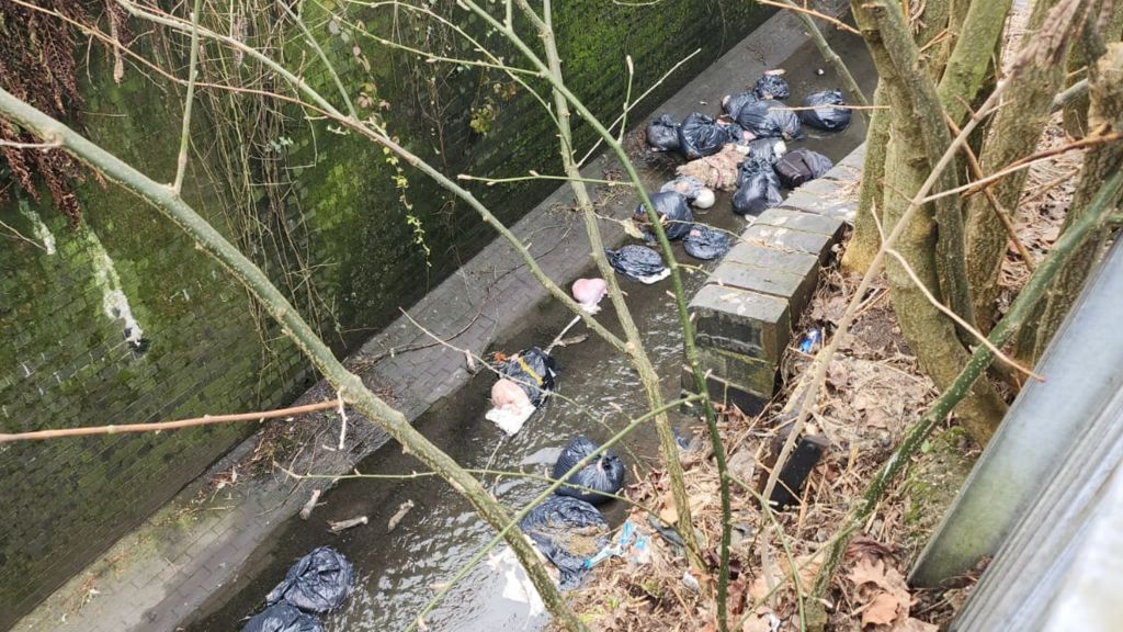 Dead sheep found dumped in Birmingham brook - BBC News