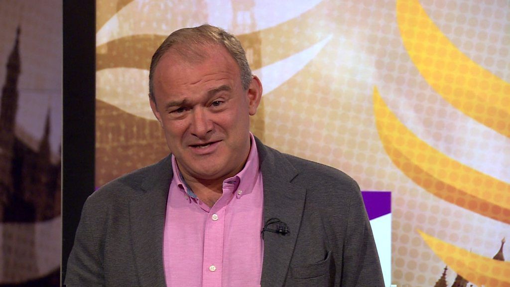 Liberal Democrats: Who is leader Sir Ed Davey? - BBC News