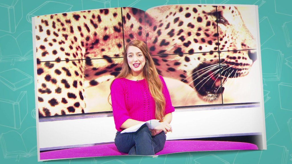 Can you guess this Awesome Authors story? - BBC Newsround