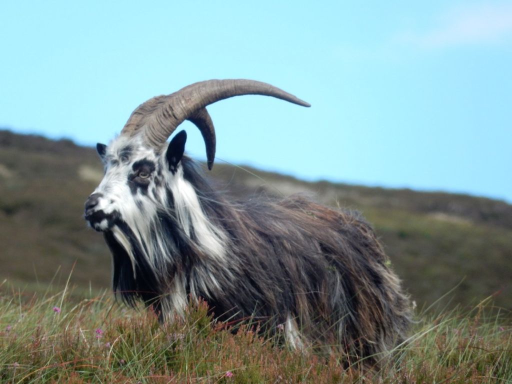 Your pictures of Scotland: 28 July - 4 August - BBC News