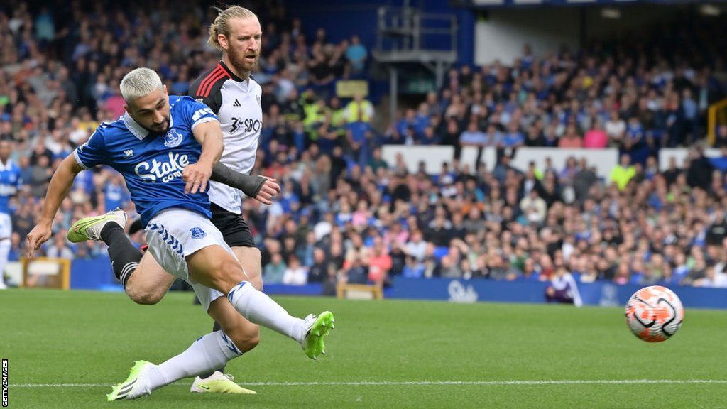 Neal Maupay: Everton condemn social media abuse of striker - BBC Sport