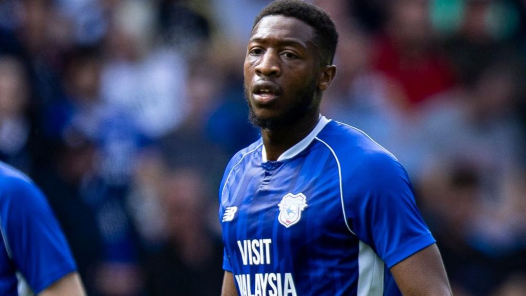 Ebou Adams 'OK' after Gambia flight drama - BBC Sport