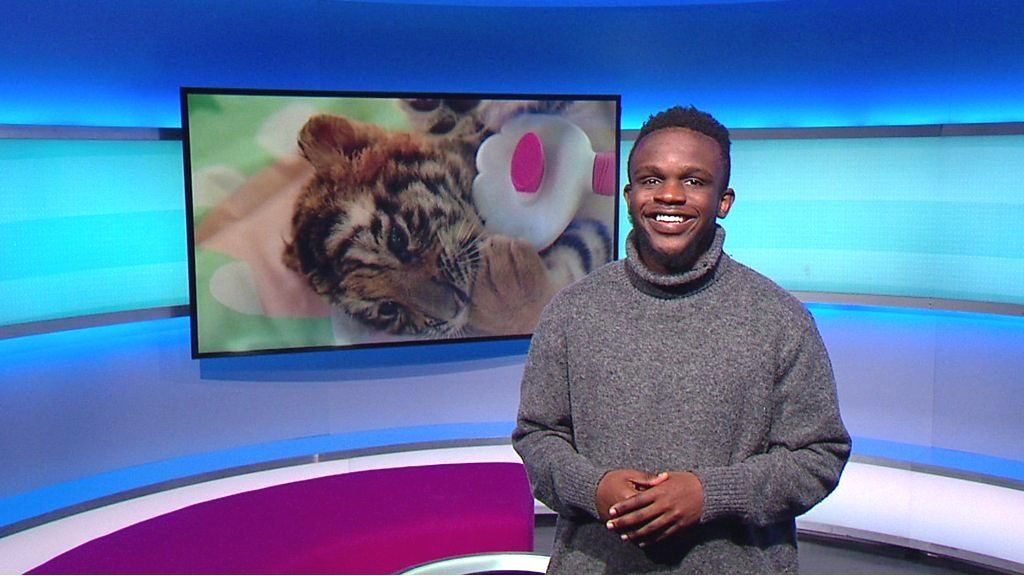 Watch Newsround - BBC Newsround