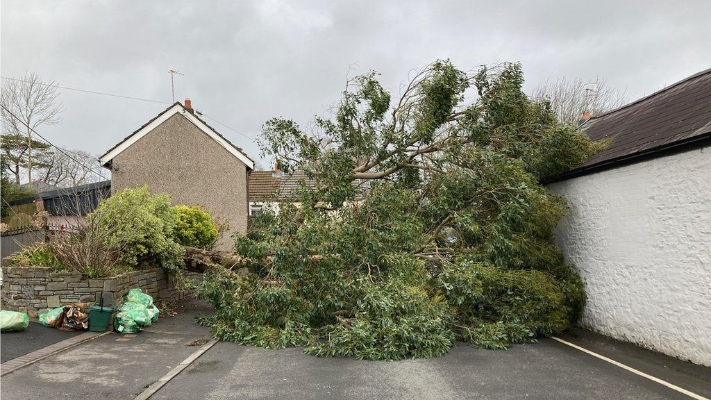 In pictures: Storm Eunice's sea surges, fallen trees, flying sheds ...
