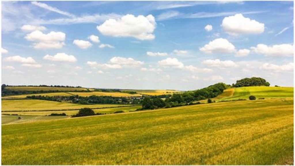 Weather for the Week Ahead - BBC Weather