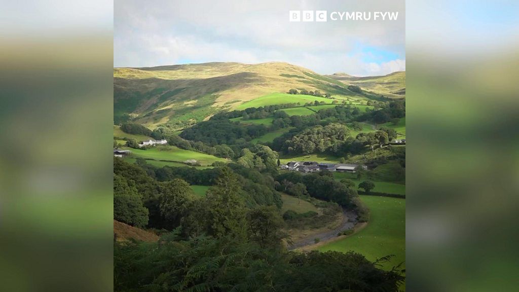 'Dim modd galw 999' o linellau ffôn Cwmystwyth - BBC Cymru Fyw