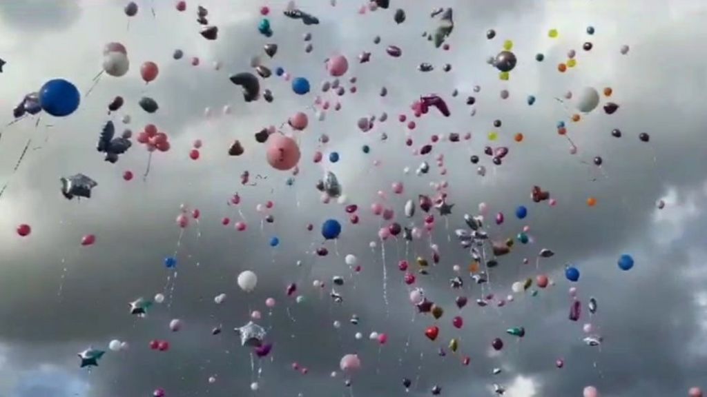 Teenager admits causing Walsall girl's hit and run death - BBC News