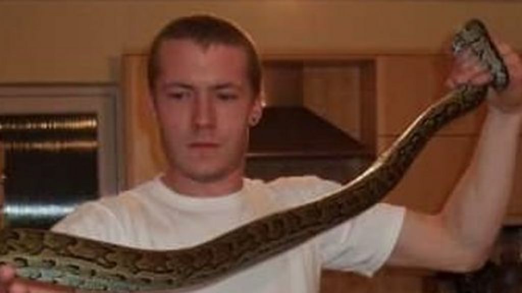 Snake owner Daniel Brandon killed by his pet python - BBC News