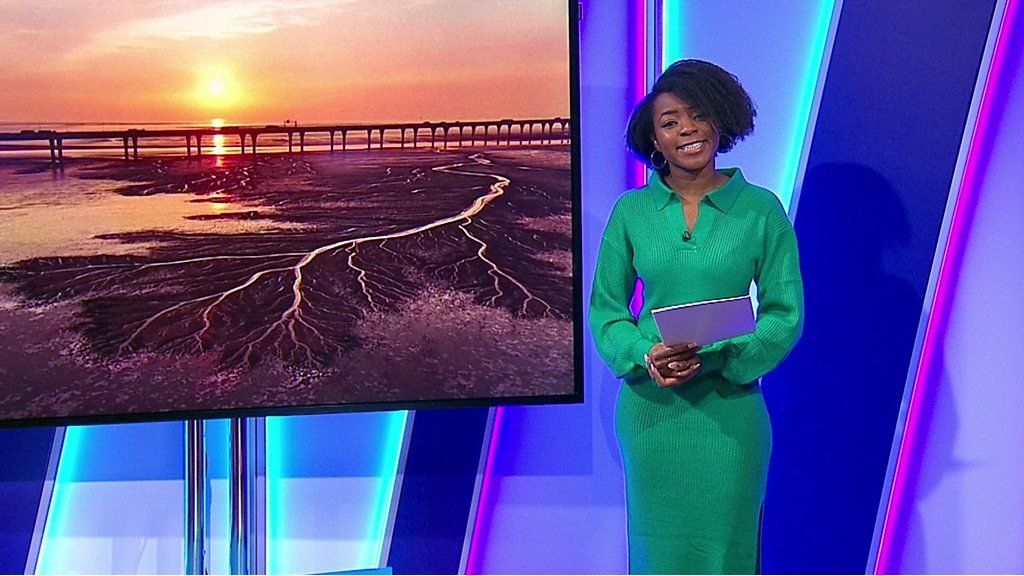 Watch Newsround - BBC Newsround