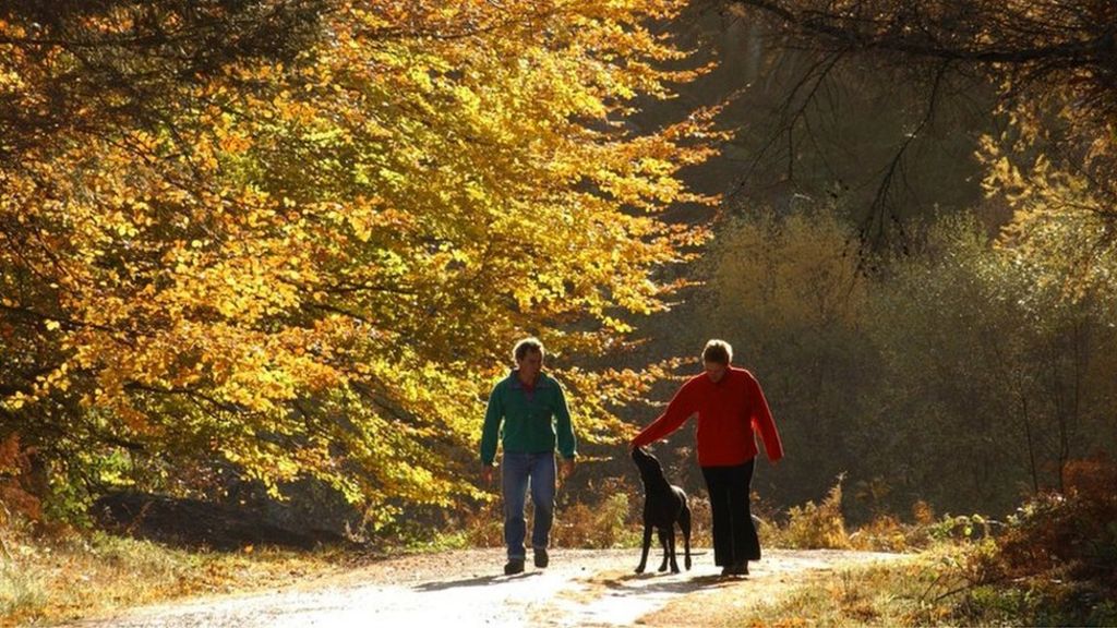 Am dro i'r hydref - BBC Cymru Fyw