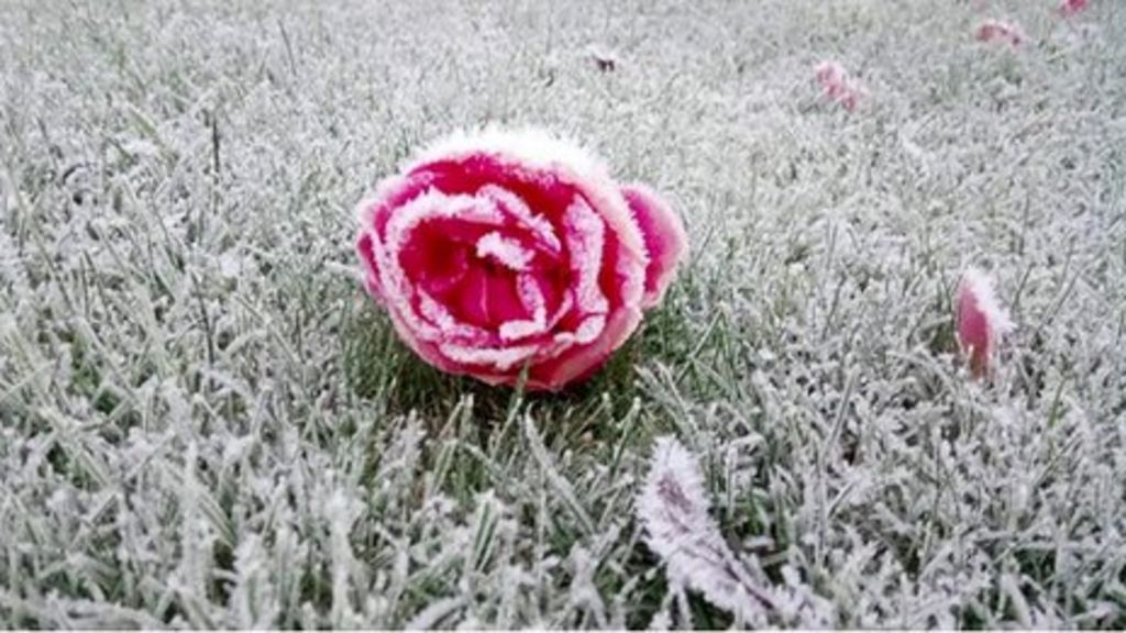 Fascinating facts about frost - BBC Weather