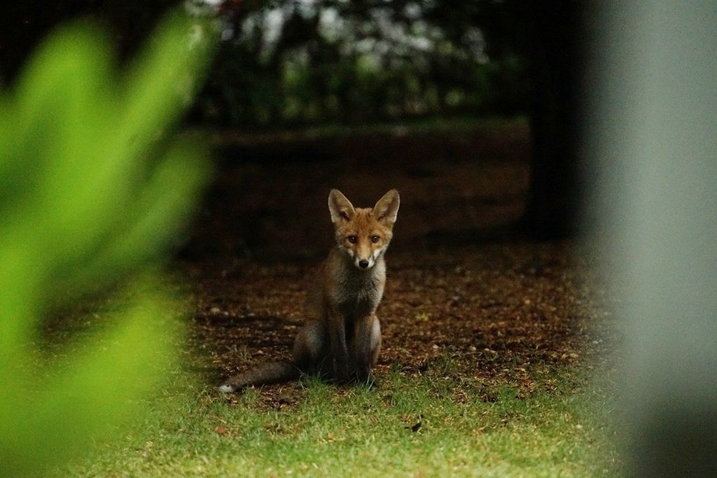 Your pictures of Scotland: 22-29 July - BBC News