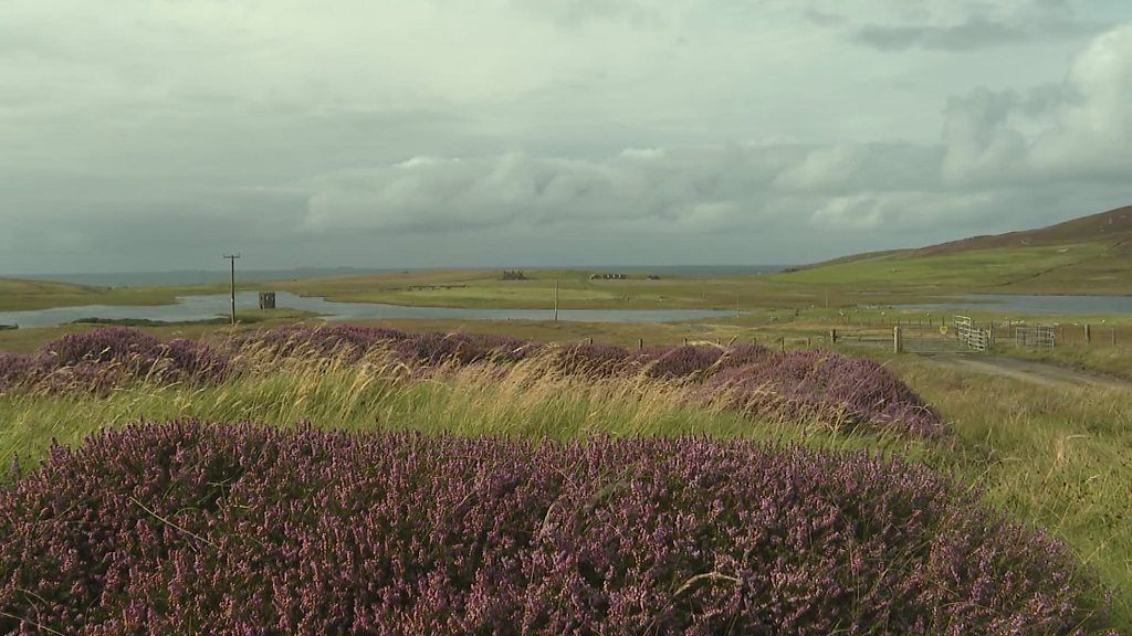 Briseadh dùil dhan RSPB mu Phort Fànais Sgolpaig - Naidheachdan a' BhBC