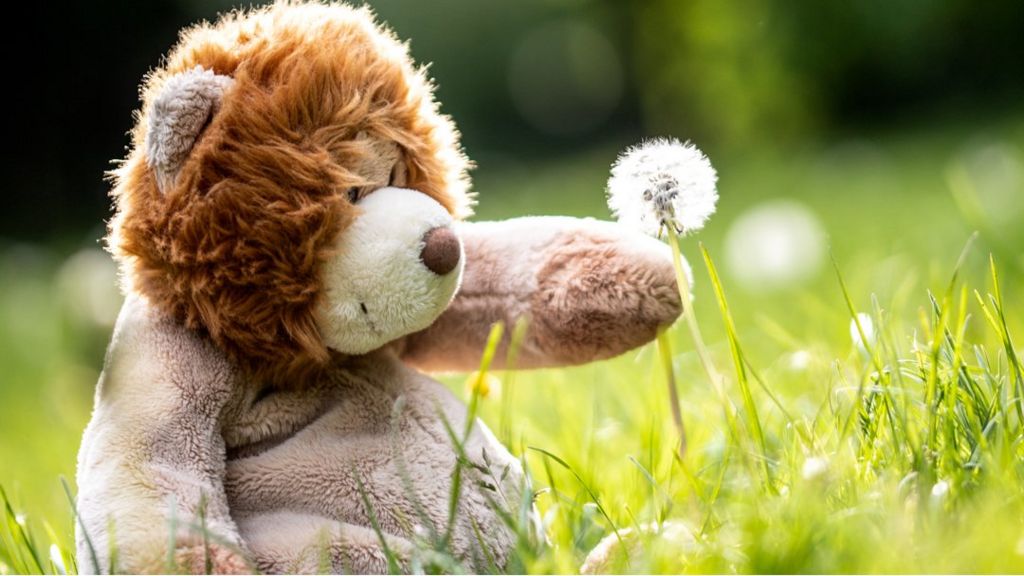 Lost toy makes its way home after 600-mile adventure! - BBC Newsround