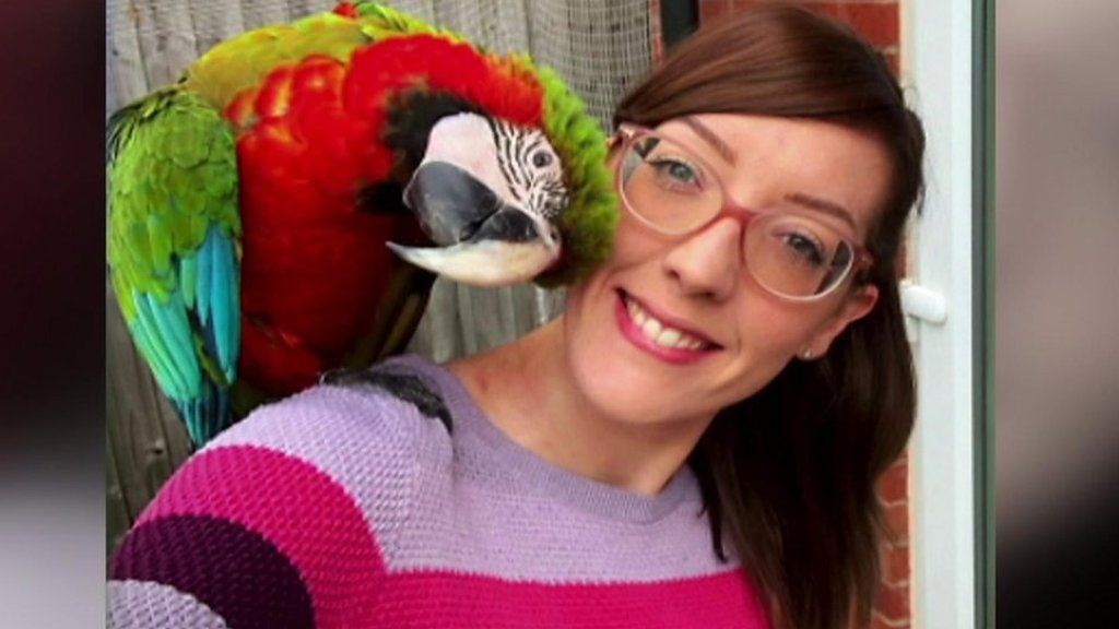Meet the multi-coloured Macaw who's a social media hit - BBC Newsround